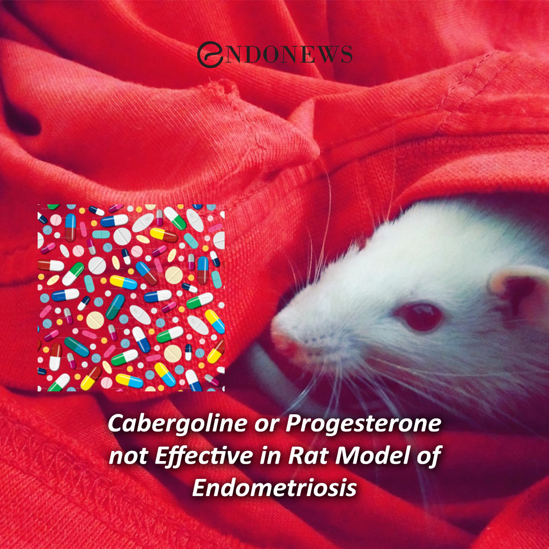 Cabergoline or Progesterone not Effective in Rat Model of Endometriosis ...