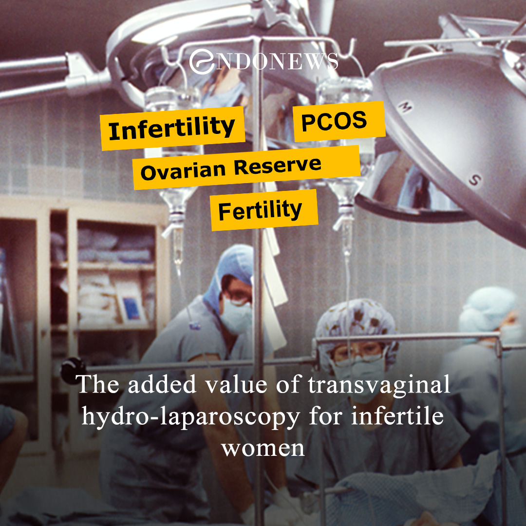 The added value of transvaginal hydro-laparoscopy for infertile women ...