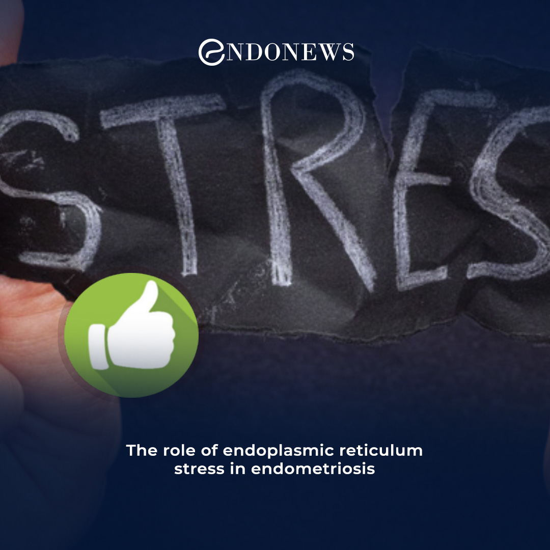 This time it is good to have this stress: Endoplasmic reticulum stress ...