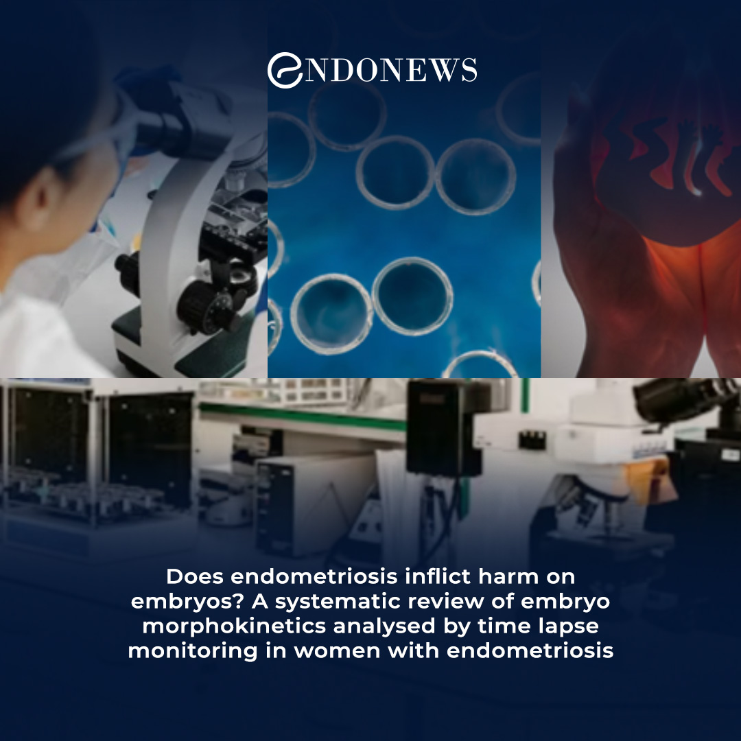 Embryo Morphokinetics of Endometriotic Patients by Time Lapse ...