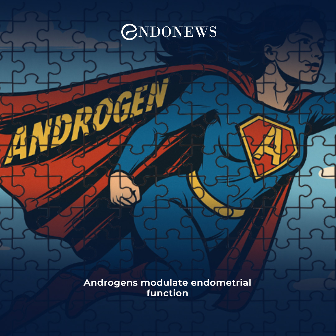 Revisiting the Role of Androgens in Endometriosis Pathology | EndoNews