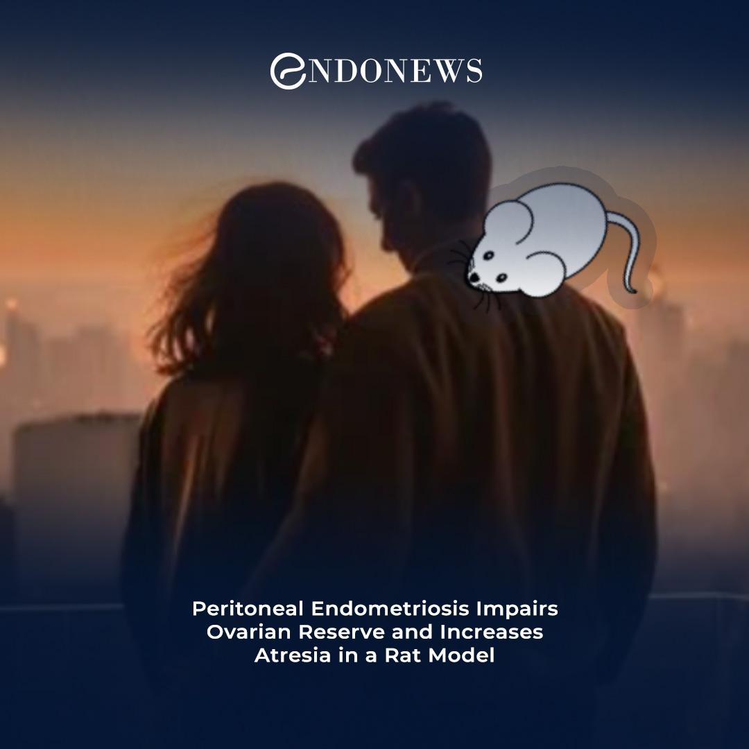 Peritoneal Endometriosis Impairs Ovarian Reserve in a Rat Model | EndoNews