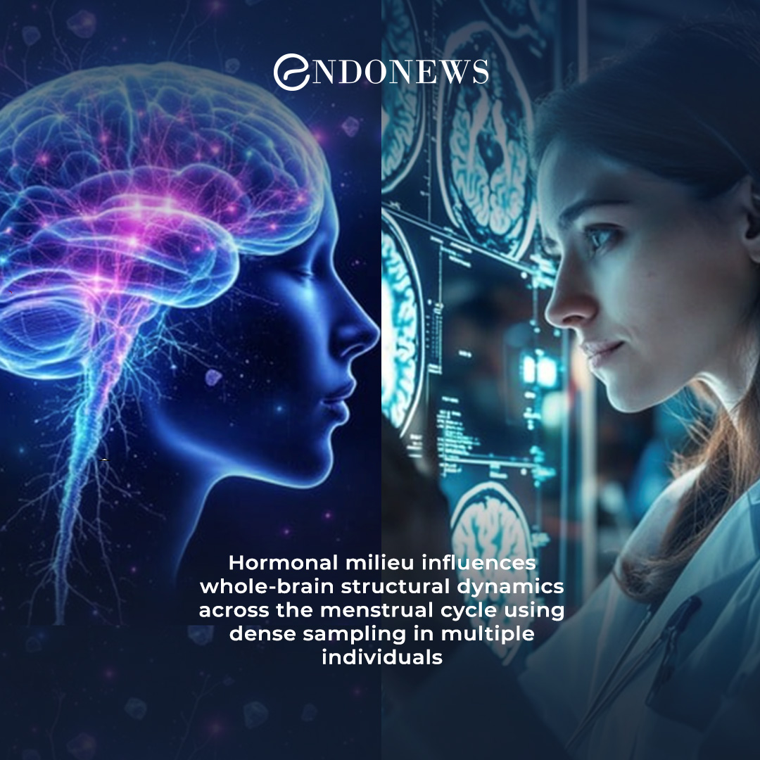 Whole-Brain Dynamics Across Menstrual Hormonal Fluctuations | EndoNews